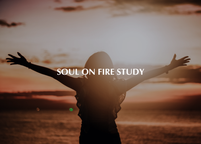 HYTV+ Resources | Holy Yoga Online Training & Christian Yoga Courses