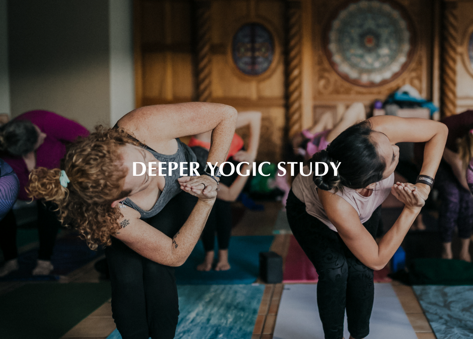 Deeper Yogic Study | Holy Yoga 60-Hour Training for 300-Hour Instructor ...